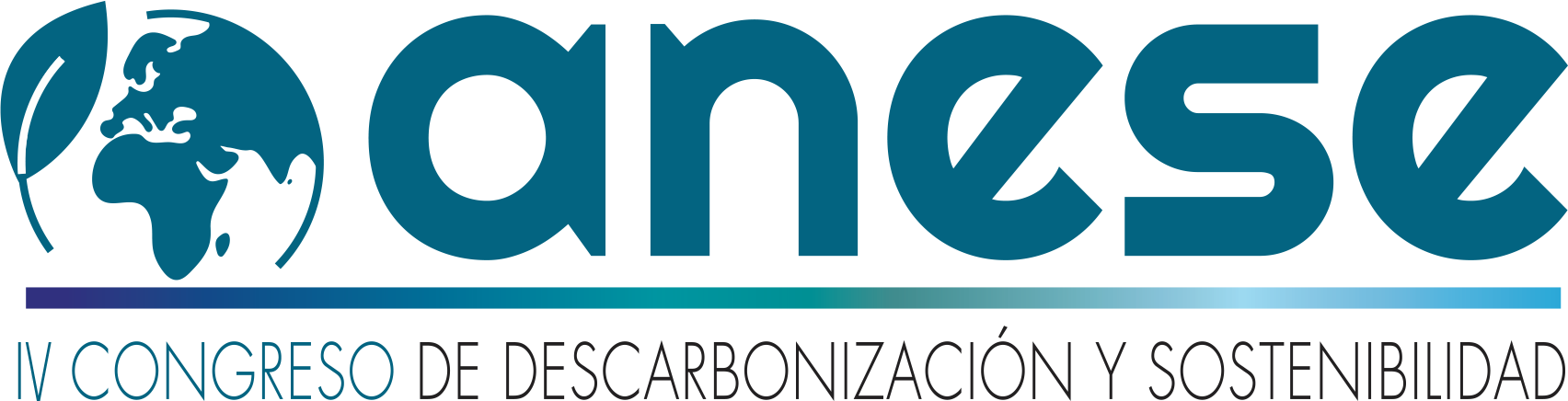 IV Congreso - ANESE